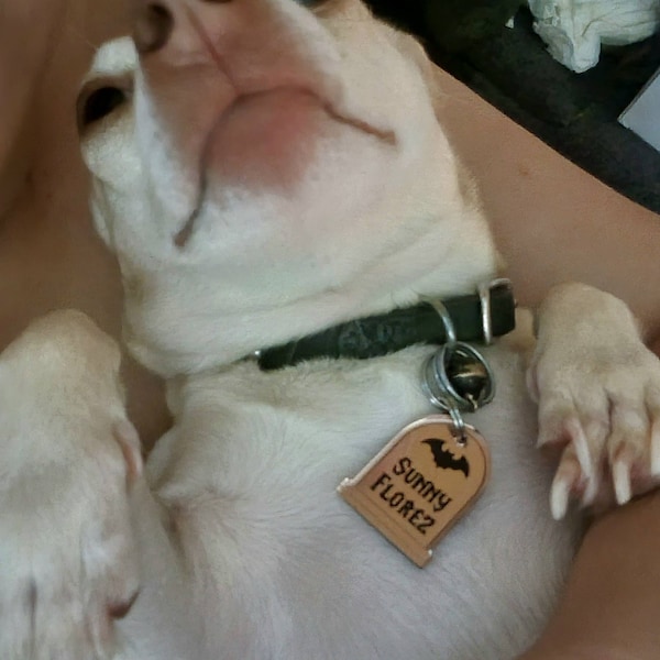 Personalized LED Light up Name Keychain USA Made Color Changing ...