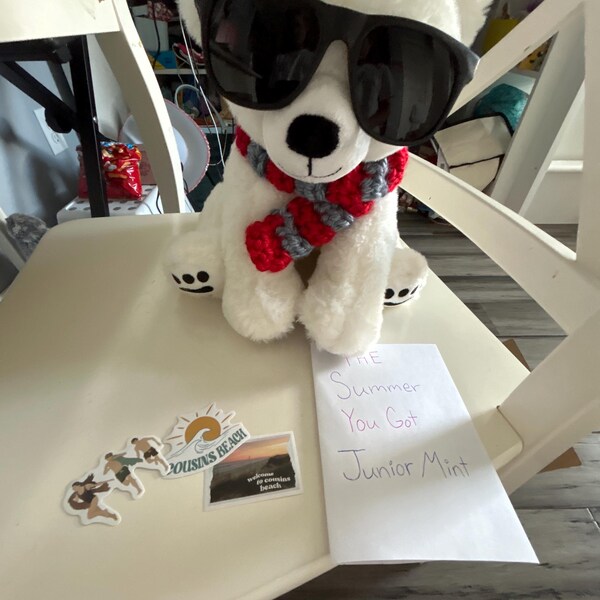 Junior Mint Inspired Stuffed Animal | the Summer I Turned Pretty ...