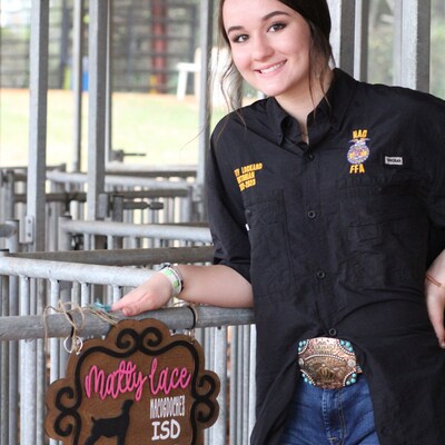 Stock Show Barn Sign, Barn Stall Sign, Fair Sign, Show Animal Sign ...