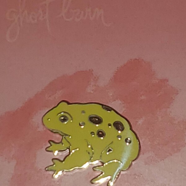 Toad Enamel Pin - Etsy