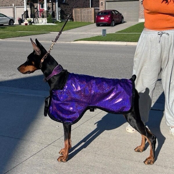 Dog Drying Coat, Grooming Coat, Lycra, Washable, Comfortable, Custom ...