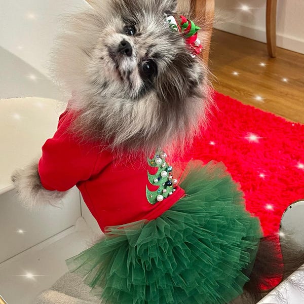 Dog Jumpsuit, Cute Yorkie Girl Outfit, Designer Small Dog Clothes ...