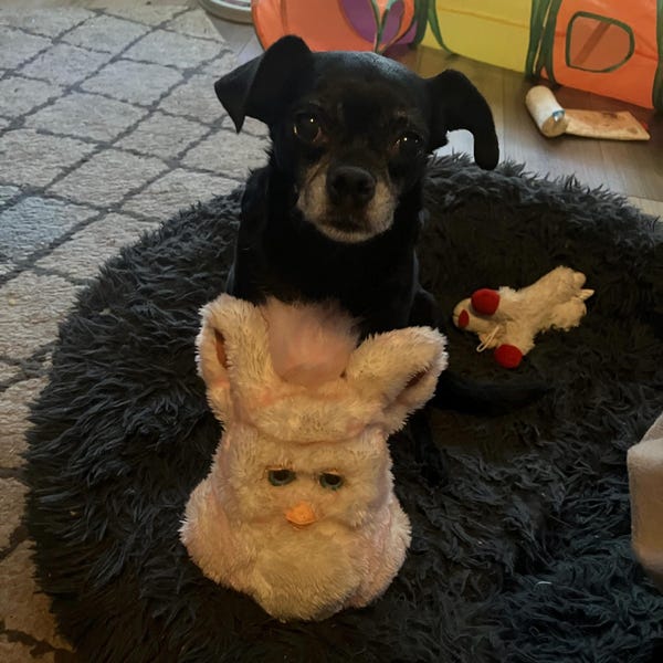 Tomorrow Nadja Posable Doll With Outfits in Box Original Nadja ...