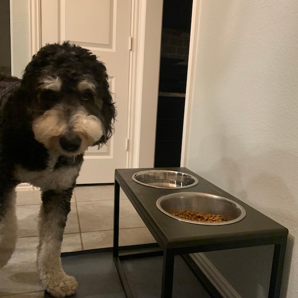 Elevated Dog Feeding Table for Large Size Dog / Raised Feeder for Big ...