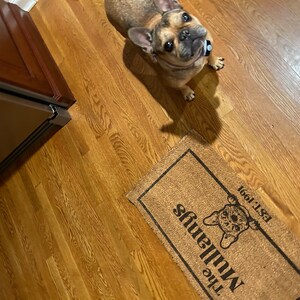 Warning Escape Artist Inside Dog Doormat Funny Welcome Mat - Etsy