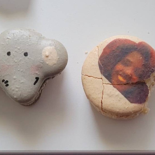 Zoo Animals French Macarons 12 or 24 - Choose Your Flavors - Elephant ...