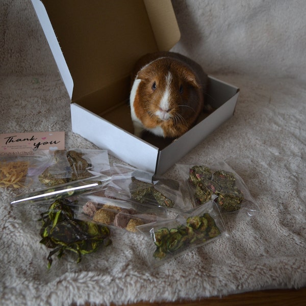 NEW! Mystery Box | for Guinea Pigs and Rabbits | Oat Free, Natrual ...
