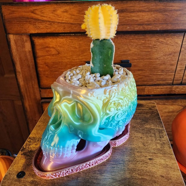 Demon Skull Planter With Horns, 3D Printed, Eco Friendly, Home and ...
