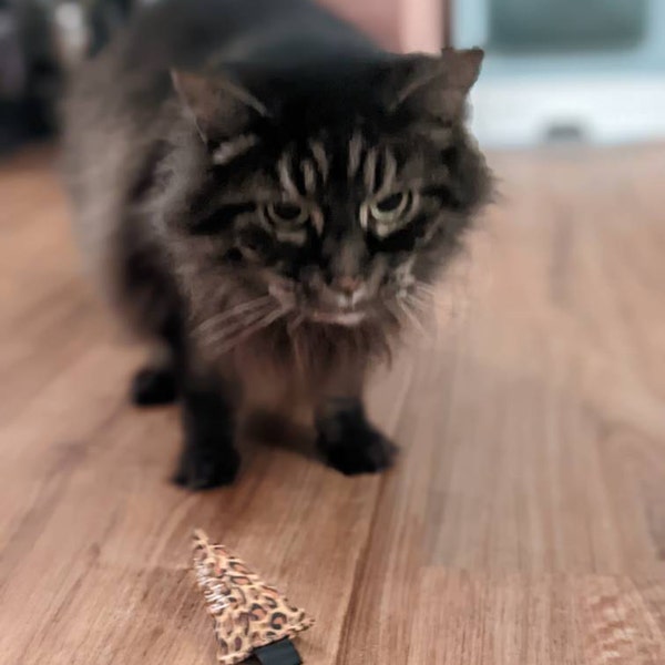 Big Moo's Organic Ground Catnip, All Natural, Organic, Very Potent, Cat ...