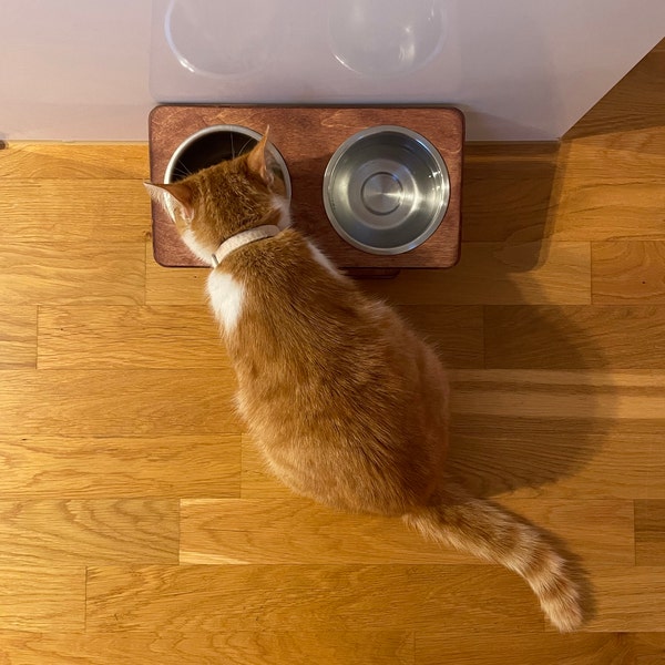 Unique Scratching Post, Cat Climbing Tree With Toys, Solid Wood ...