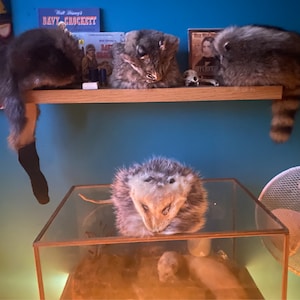 Rear Cinch Bag, Fencing Plier Bag, Fencing Plier With Bag, Ranch Tools ...