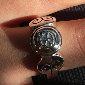 Gemina Anglo-saxon Wheel Shot Plate Steel Shot Plates - Etsy