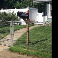 Frogs Wall Mounted Mailbox - Etsy