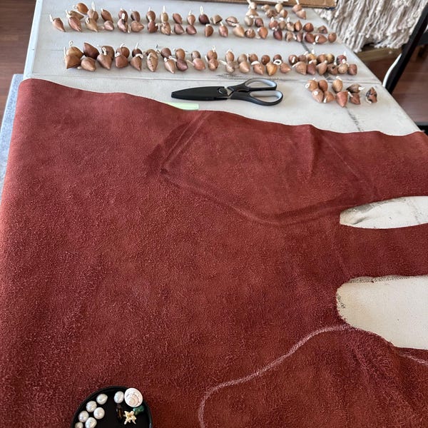 Chachayotes Ayoyotes Ayotl Coyoleras 100 Shells - Etsy