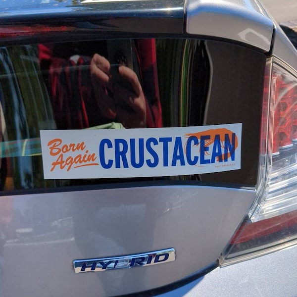 Born Again Crustacean Bumper Sticker - Etsy