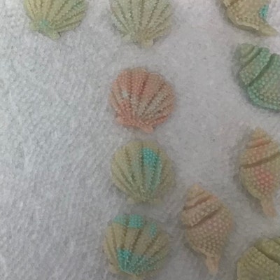 SEA SHELLS MOLD, Beach Themed Mold, Ocean, Under the Sea Mold, Mini ...