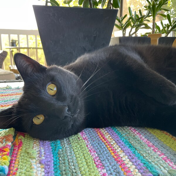 Handwoven Denim Rag Rug, Blue Jeans Entryway Rug, Washable Kitchen ...