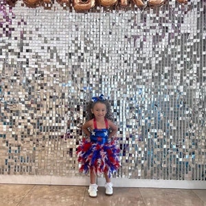 White Swan Iridescent Sequin Girls Feather Pageant Tutu Dress, Girls ...