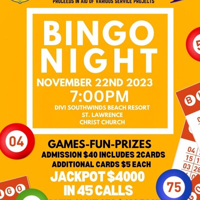 Printable Bingo Night Party Event Flyer Invite Invitation Template ...