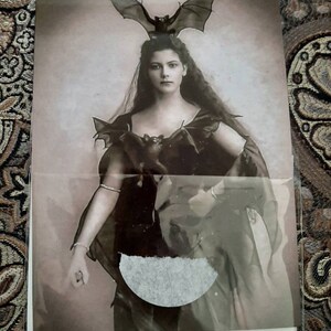 The Vampire Queen, Victorian Costume, Batgirl, Bat Costume, Vintage ...