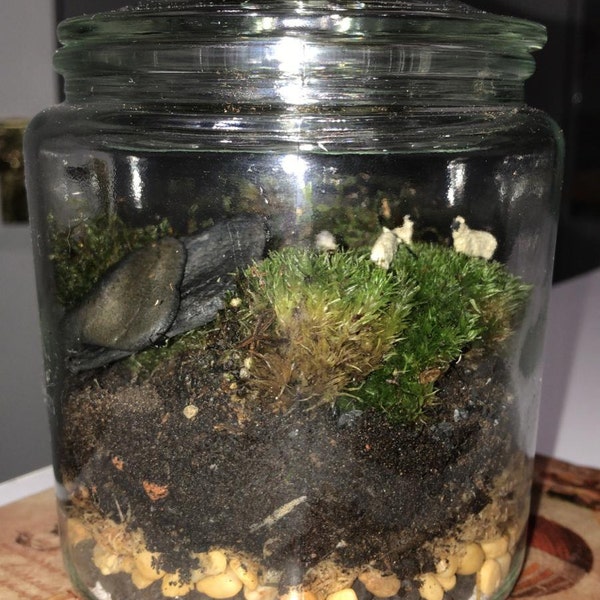 Vintage Cowboy or Indian Toy - Terrarium in 1lt Kilner Jar - Etsy