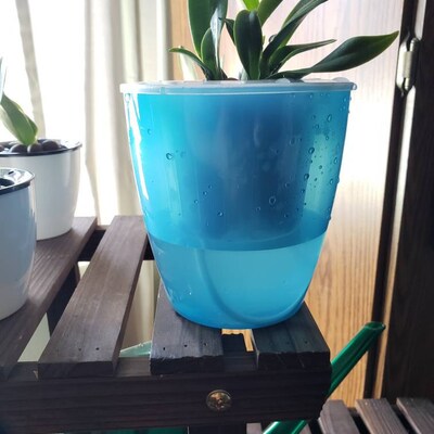 3 Perfect Orchid Pots Self Watering Plant Planters - Etsy