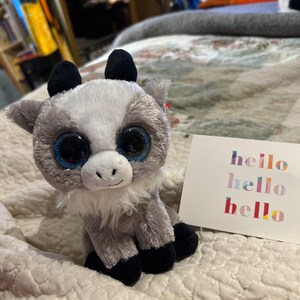 Ty Beanie Boos cancun,dexter and Pablo the Pink,brown,yellow Chihuahuas ...