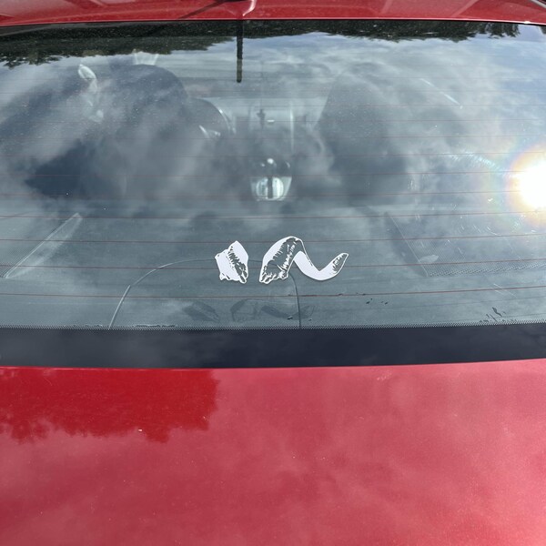 Astarion Scar Baldur's Gate 3 Vinyl Decal Astarion's Scar Back Markings ...