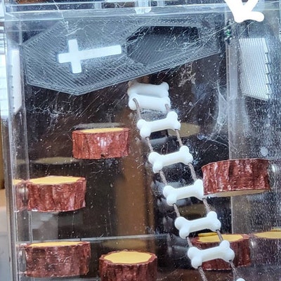 3D Printed Magnetic Bone Bridge Jumping Spider Enclosure Hide - Etsy