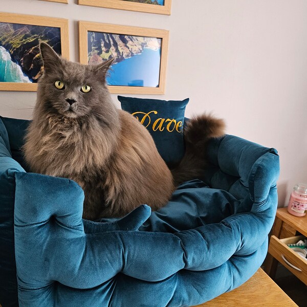 Blue Dog Bed, Large Dog Bed, Velvet Dog Bed, Dog Bed Large, Dog Bed ...