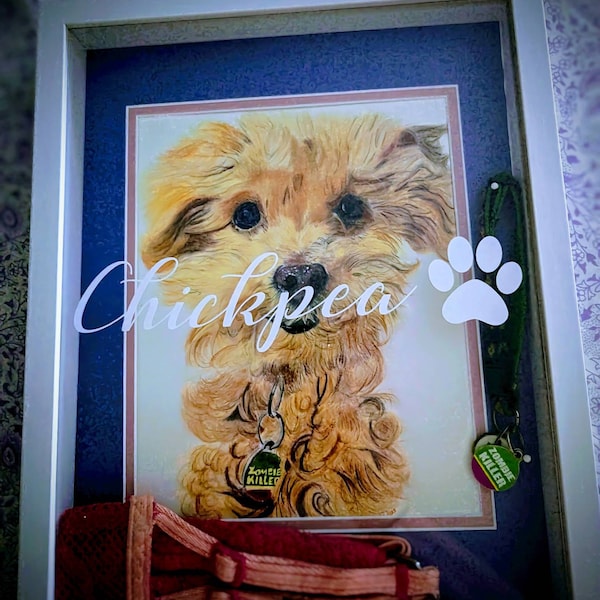 Social Studies Bulletin Board-digital File- Back to School, Classroom ...