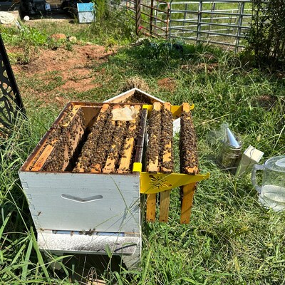 Ultimate Beekeepers Tool Box Personalized Bee Tool Box - Etsy