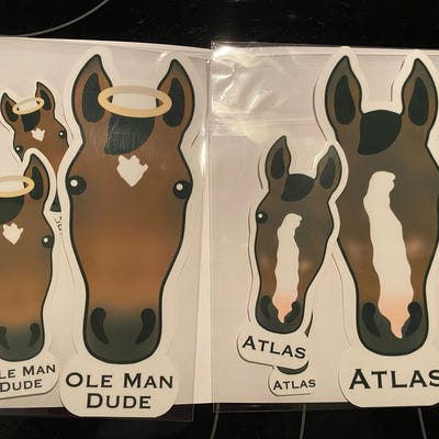 Custom Horse Sticker With Name, Horse Stickers, Gift for Equestrian ...