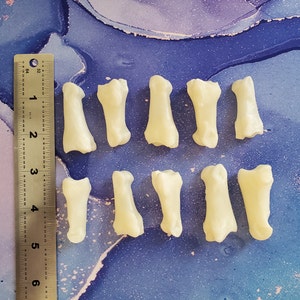 10 Deer First Phalanx Proximal Phalanx Bones Phalanges Knuckle Bones - Etsy