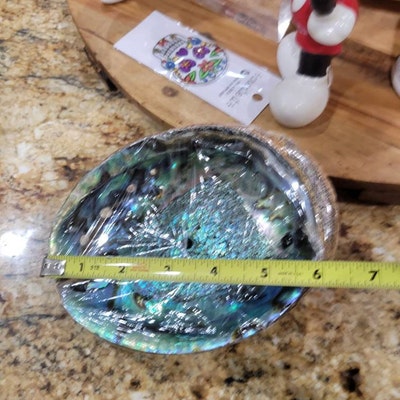 Wooden Shell Tripod Display Stand Hand Carved Base for - Etsy