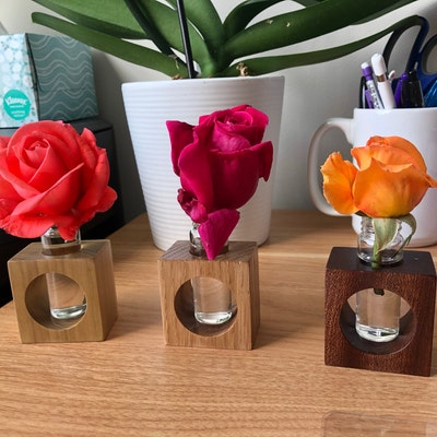 Small Desktop Single Stem Vase Propagation Stand Minimalist - Etsy