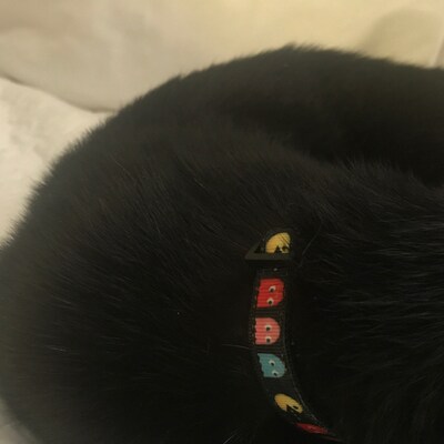 PAC-MAN Retro Cat Collar. Cat or Kitten Safety Collars With Quick ...