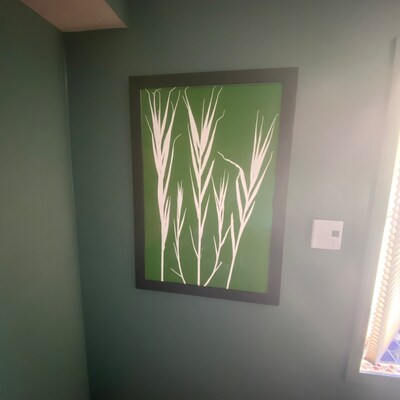 Giant Redwood Tree Rings, 3x6 Feet, Tree Ring Print, Huge Wall Art ...