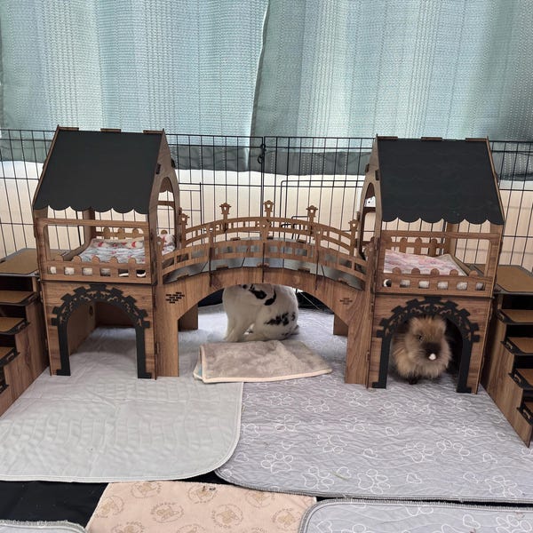 Elegant Bunny Castle With Twin Towers: Two-story White Pink Palace ...