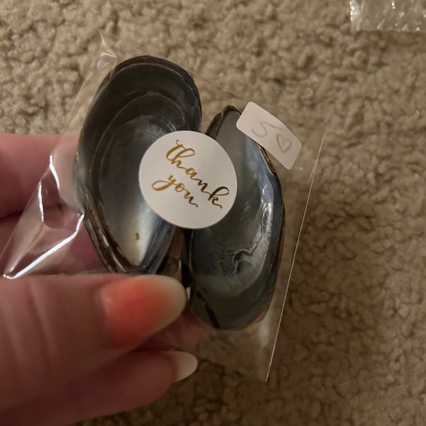 10 Mussel Shells, Varnished / Unvarnished. Fab for Wreaths & Wedding ...