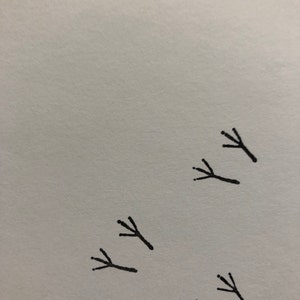 Bird Tracks Rubber Stamp - Etsy