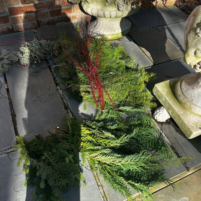 Juniper Fresh Cut Oregon Juniper Box Christmas Wedding Fresh Cut ...