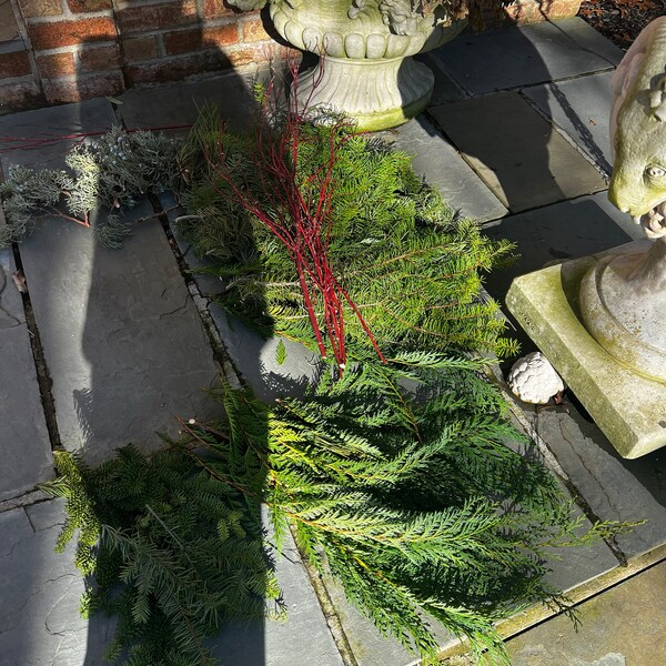 Assorted Fresh Greenery | DIY Wedding & Event Kit | Mix of Eucalyptus ...