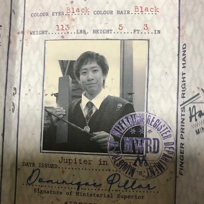 British Witch or Wizard ID Card Replica - Etsy