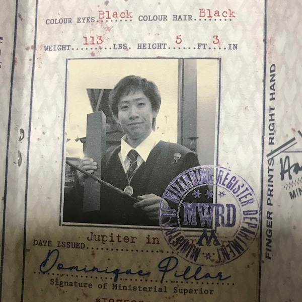 British Witch or Wizard ID Card Replica - Etsy