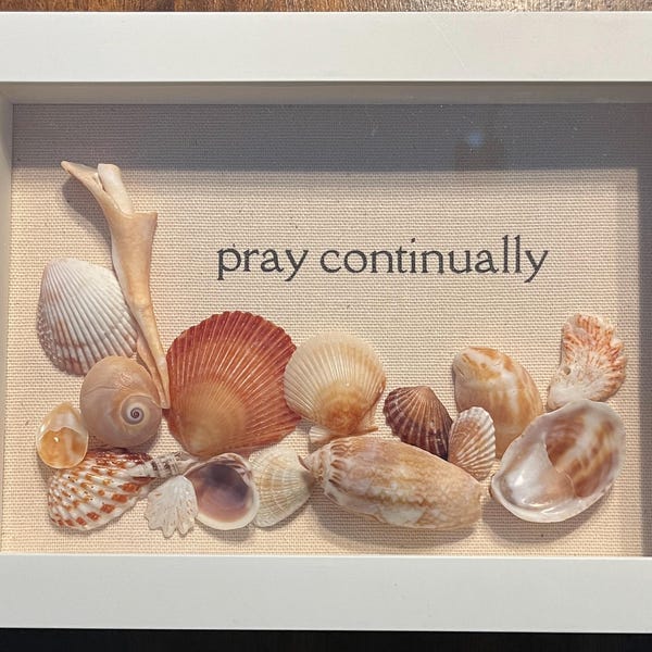 Shell Statement Shadow Box / SWFL - Etsy