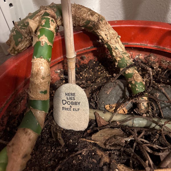 Shark Push Pins - Etsy