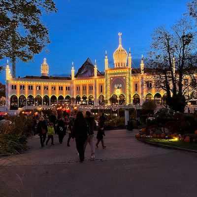 OP027: Opuntia Debreczeyi 'alberta Sunset' spineless Cat's Paw Cactus ...