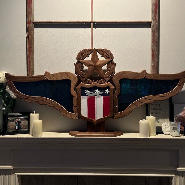 Navy Pilot Wings Shadow Box - Etsy
