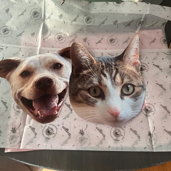 Bridal Wedding Veil Last Rodeo Bachelorette Bridal Shower Gift ...